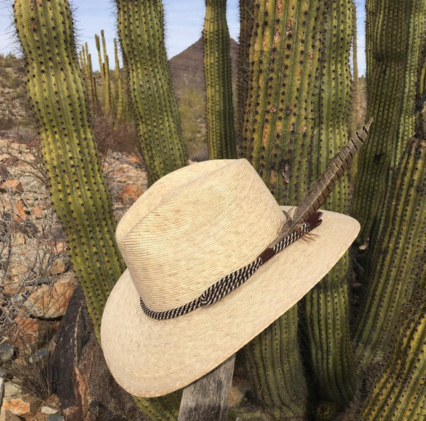 Cholo Chica – capelo